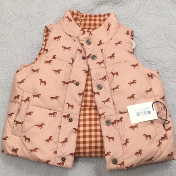 Pink Chicken | Jackets & Coats | Nwt Pink Chicken Reversible River Vest ...